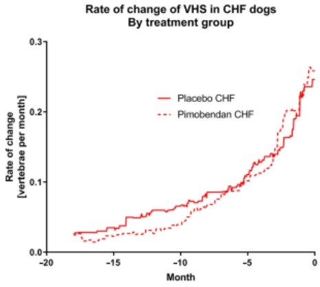 The EPIC study | Centre Hospitalier Vétérinaire à Meaux - Cordeliers