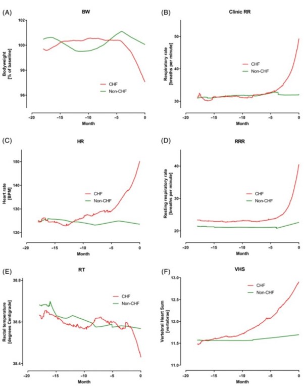 The EPIC study | Centre Hospitalier Vétérinaire à Meaux - Cordeliers