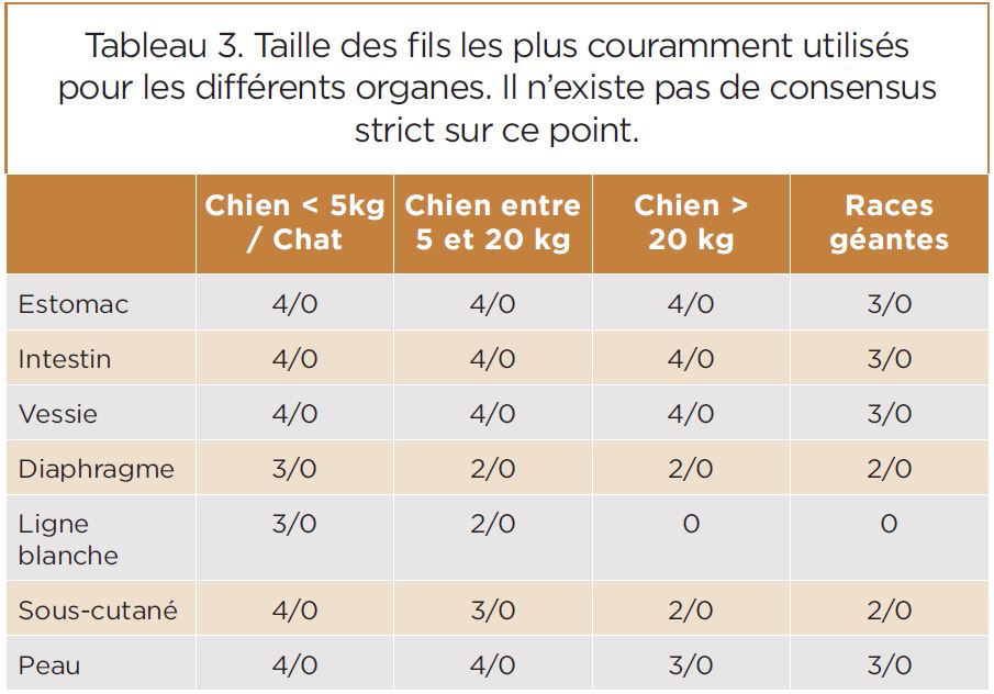 Choisir son matériel de suture | CHV des Cordeliers