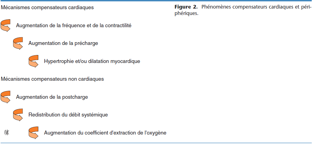 Traitement de l’insuffisance cardiaque | CHV Meaux