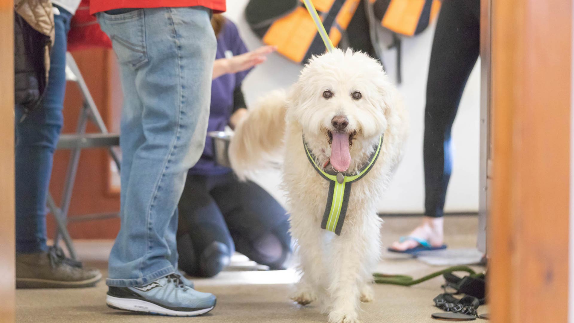 A Propos de nous | Cliniques vétérinaires associées CVA - CVA